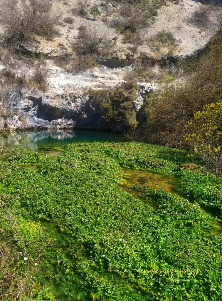EL POZO AZUL, el cenote español. – De Viajes y Equipajes